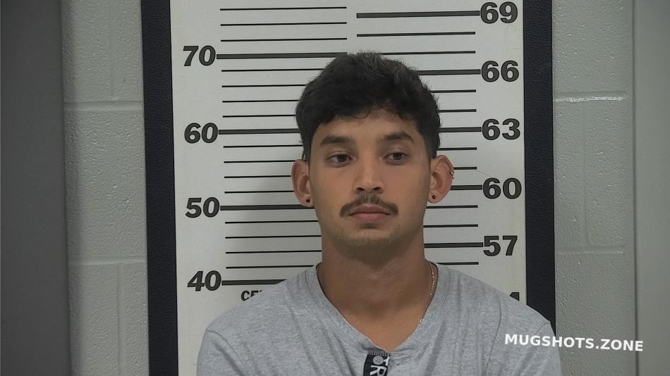 COSTA-KAWASAKI JOAO GUSTAVO 08/11/2024 - Platte County Mugshots Zone