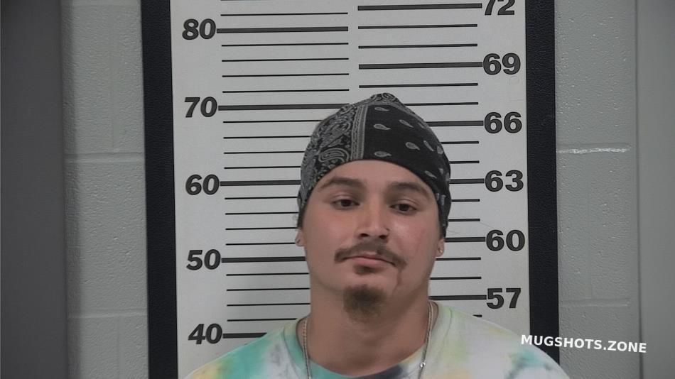 STYER BRANDON TRUE 08/13/2024 - Platte County Mugshots Zone