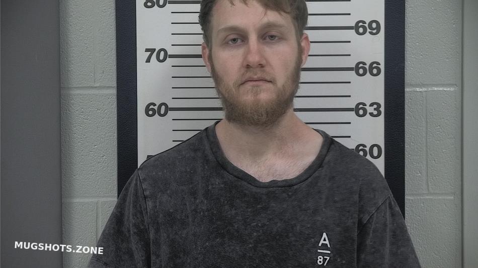 HOSKINS DYLAN 11/15/2024 - Platte County Mugshots Zone
