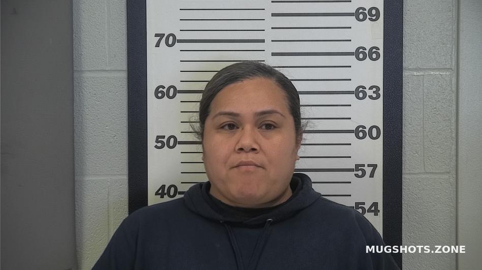 TU'ULAUULU BRENDA 01/22/2025 - Platte County Mugshots Zone