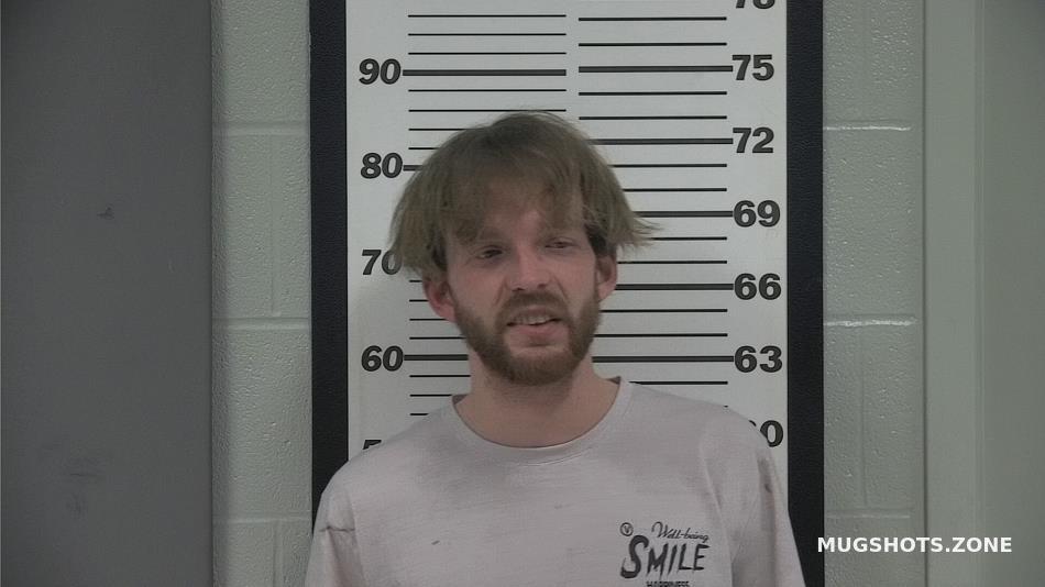 COLLINS DAVID A 03/13/2025 - Platte County Mugshots Zone