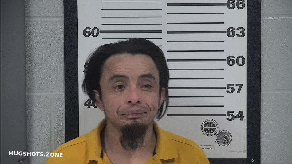 MENCHU-CHAN FREDY A 04/06/2025 - Platte County Mugshots Zone