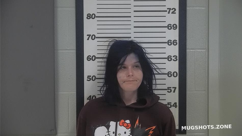HADLEY SARAH L 04/08/2025 - Platte County Mugshots Zone