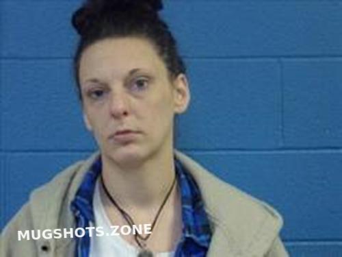BRIANNA LETNER 11/11/2022 - Poinsett County Mugshots Zone