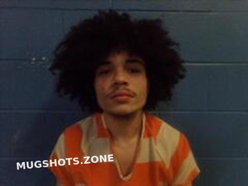 ADRIAN MALIK DRIVER 01/02/2024 - Poinsett County Mugshots Zone