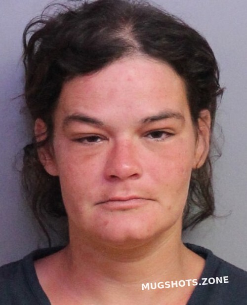 HALSTEAD CHAD 01/08/2021 - Polk County Mugshots Zone