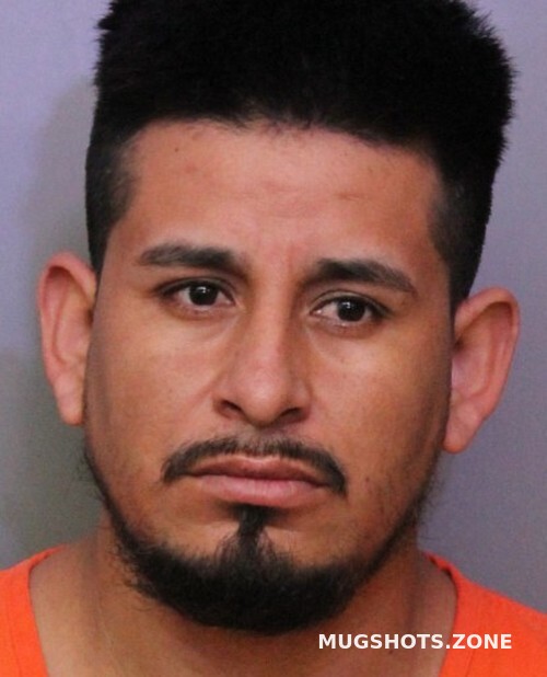LUNA SUAREZ MIGUEL 01/13/2021 - Polk County Mugshots Zone