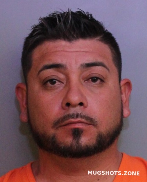 ALANIZ SANCHEZ JUAN VICTOR 01/17/2021 - Polk County Mugshots Zone