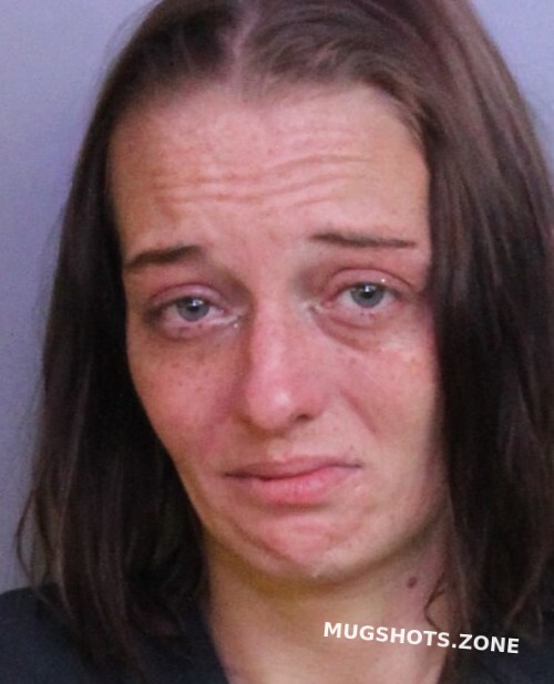 ENGLISH STACEY 01/19/2021 - Polk County Mugshots Zone