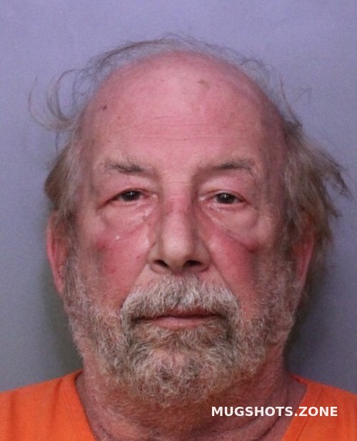 TOZZO JAMES V 01/28/2021 - Polk County Mugshots Zone