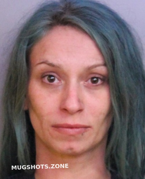 APGAR AMY 02/13/2021 - Polk County Mugshots Zone