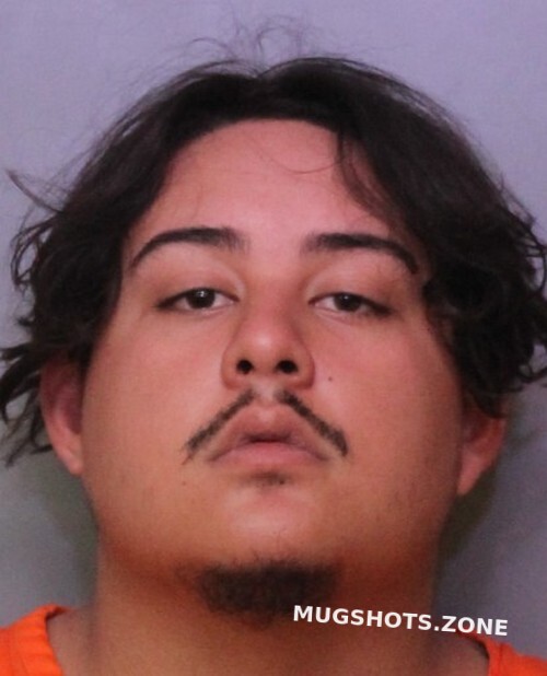 DIAZ GIOVANI 02/14/2021 - Polk County Mugshots Zone