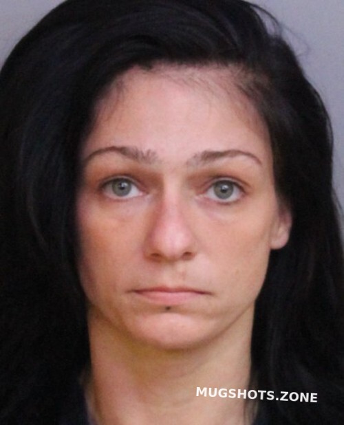SCHMIDT AMBER 02/16/2021 - Polk County Mugshots Zone