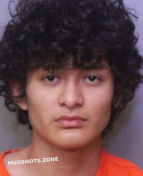 OCHOA IAN 04/05/2021 - Polk County Mugshots Zone