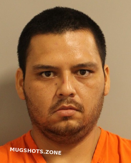 DE ALEJANDRO RODRIGUEZ JR RAUL 06/11/2021 - Polk County Mugshots Zone