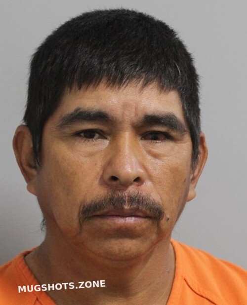 CATI MOISES 10/23/2021 - Polk County Mugshots Zone