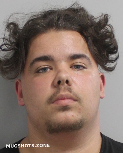 PROVENZANO DOMINIC ISAIAH 12/01/2021 - Polk County Mugshots Zone