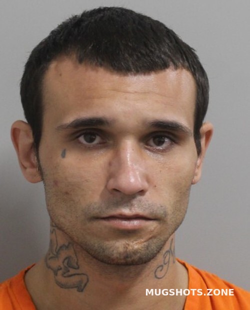 NEWTON LEDBETTER GAVIN 12/15/2021 - Polk County Mugshots Zone