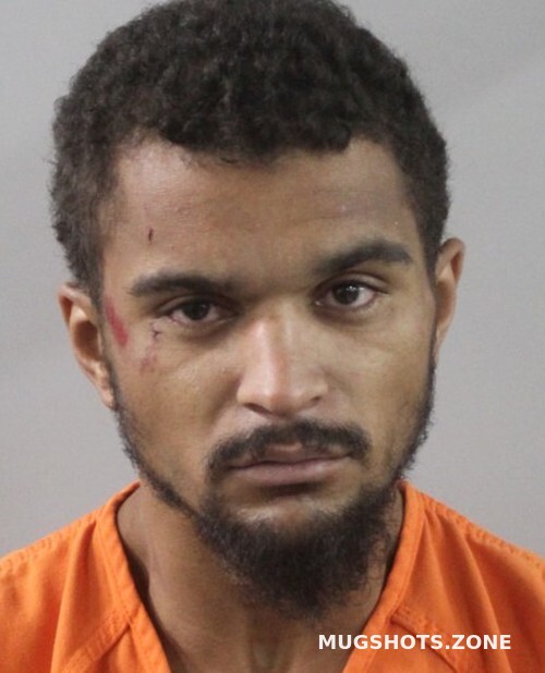 MOSS TYLER QUENTIN 12/28/2021 - Polk County Mugshots Zone