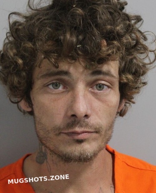 GOODWIN SEAN 04/01/2022 - Polk County Mugshots Zone