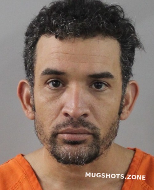 Vilas Novas Mauricio Goncalves 04 07 2022 Polk County Mugshots Zone