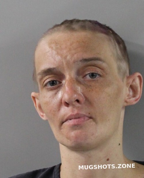 ENGLISH STACEY 08/13/2022 - Polk County Mugshots Zone