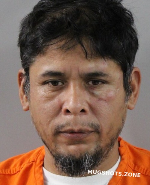 VENEGAS EDGAR OMAR 10/16/2022 - Polk County Mugshots Zone
