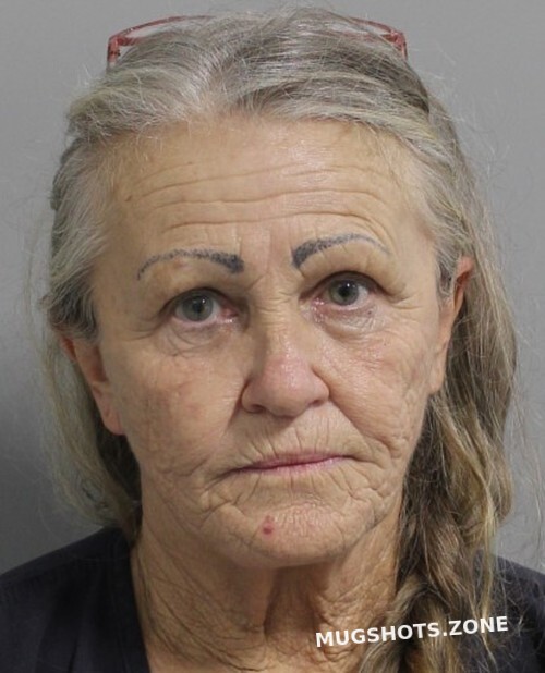 DELARM JANET 10/27/2022 - Polk County Mugshots Zone