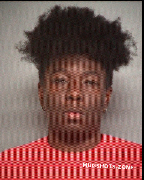 DELGADO DIONSUSYUS ANDRE JR 11/05/2022 - Polk County Mugshots Zone