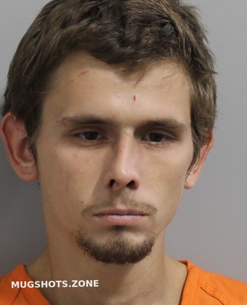 GREGORY NICHOLAS 11/08/2022 - Polk County Mugshots Zone