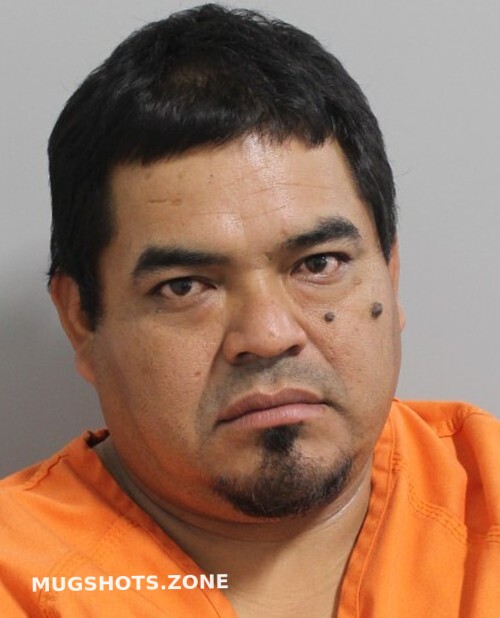 RAMOS MARTIN JOSE 11/21/2022 - Polk County Mugshots Zone