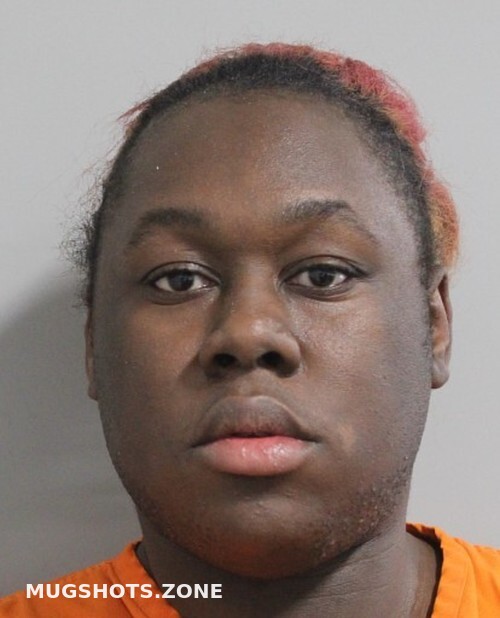 MESIER PAT 12/04/2022 - Polk County Mugshots Zone