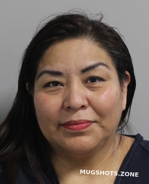 BADILLO MARIBEL 01/01/2023 - Polk County Mugshots Zone