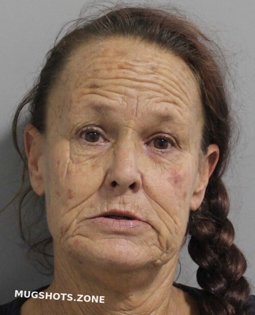 Mcminn Penny Sue 01 11 2023 Polk County Mugshots Zone