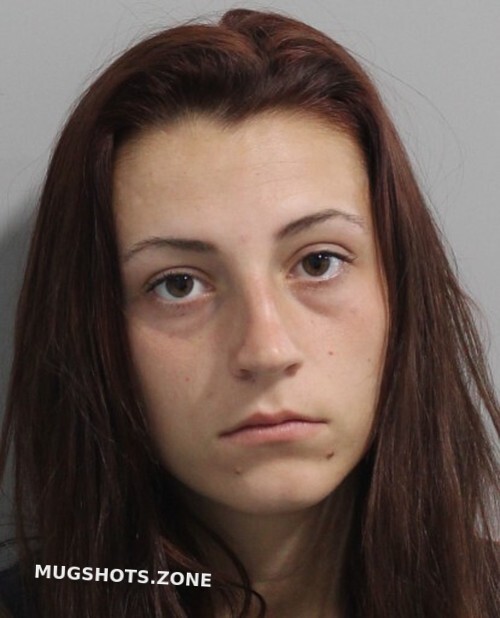 COOK BRITTANY N 01/12/2023 - Polk County Mugshots Zone