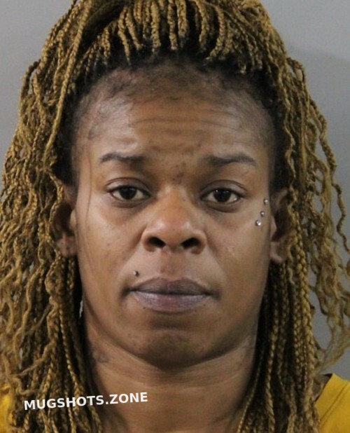 JOHNSON DARIAN 01/28/2023 - Polk County Mugshots Zone