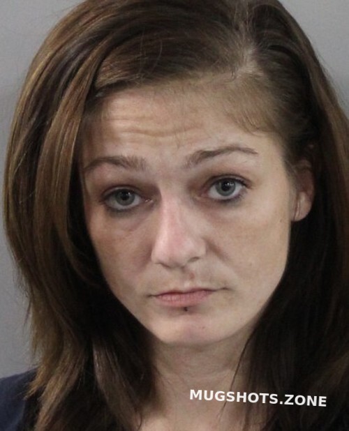 SCHMIDT AMBER DAWN 01/31/2023 - Polk County Mugshots Zone