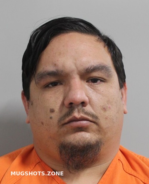 MCELROY TYLER 02/13/2023 - Polk County Mugshots Zone