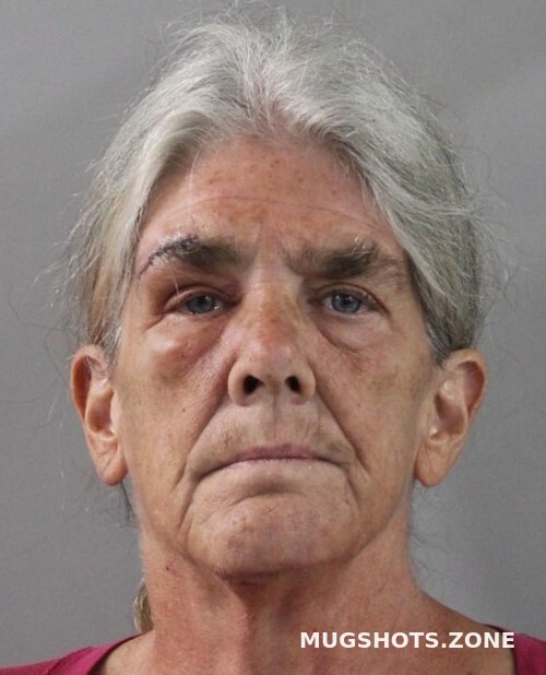 REED ANN 02/21/2023 - Polk County Mugshots Zone