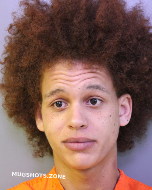 BRUNK ROBERT EDWARD 08/07/2023 - Polk County Mugshots Zone