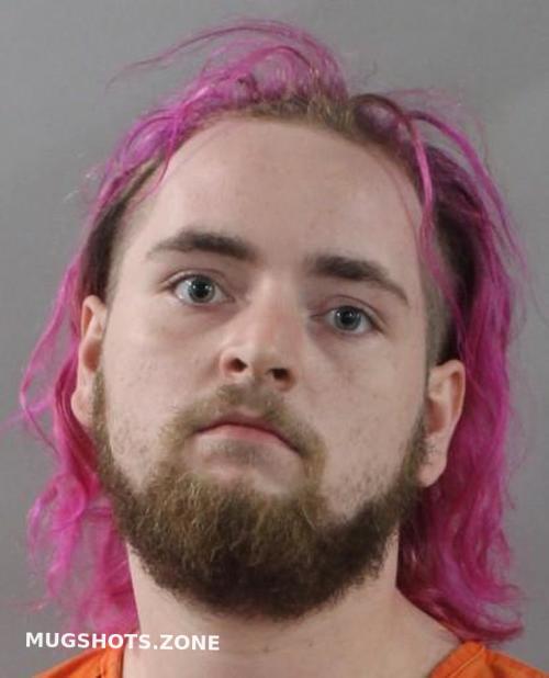 WILLIAMS MICHAEL ANTHONY 11/15/2023 - Polk County Mugshots Zone