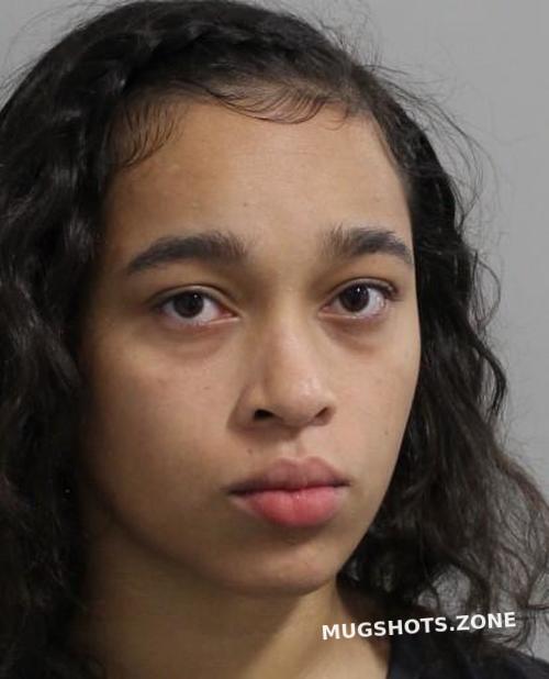 ELLSWORTH ALISSA 11/23/2023 - Polk County Mugshots Zone