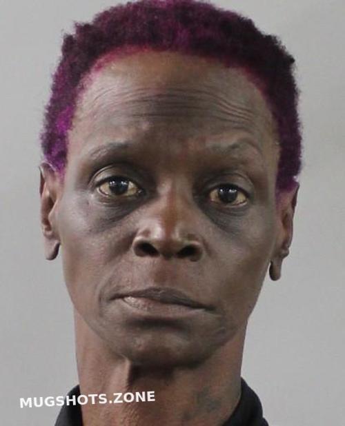 LEE MICHELLE 12/03/2023 - Polk County Mugshots Zone