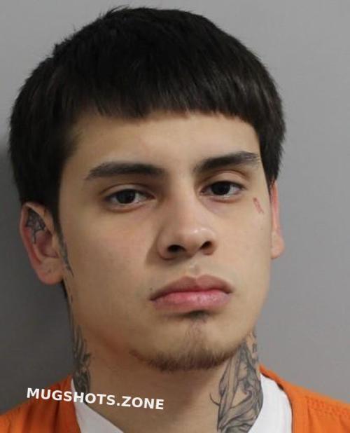 NAVA ROMAN 12/21/2023 - Polk County Mugshots Zone