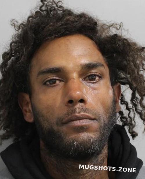 COOK ERIC LARS 01/03/2024 - Polk County Mugshots Zone