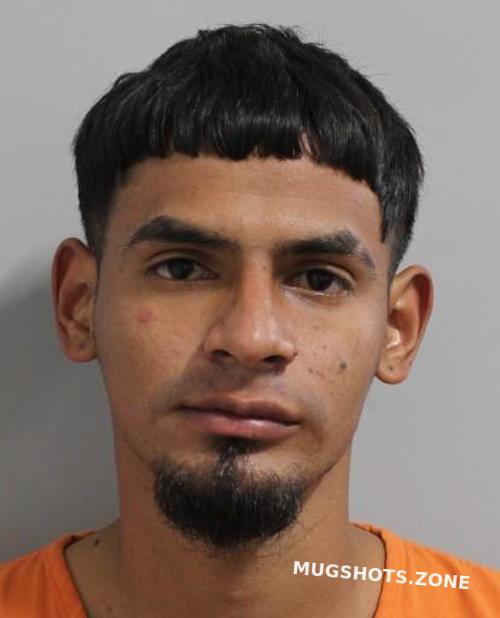 ROSALES ARLEI DAVIXON 01/14/2024 - Polk County Mugshots Zone