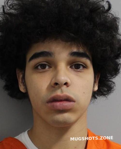 LOWE JOSEPH EDWIN 01/18/2024 - Polk County Mugshots Zone