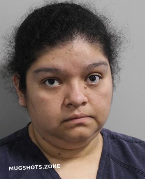 ARCINIEGA YANET 02/09/2024 - Polk County Mugshots Zone