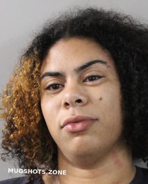 LEE JOHANNA 03/03/2024 - Polk County Mugshots Zone