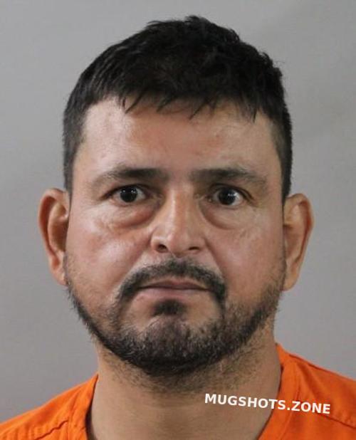 ROHENA LUIS 03/16/2024 - Polk County Mugshots Zone